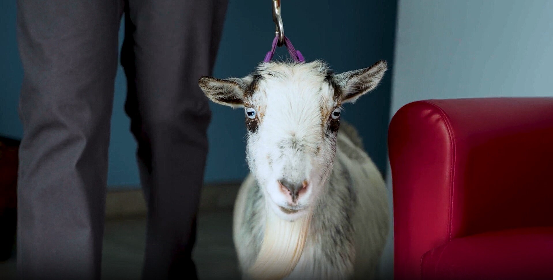 The G.O.A.T. Campaign: Creative Brilliance for George Sink Injury Lawyers